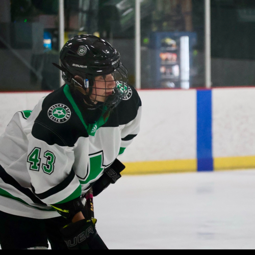 Dallas Stars Elite Girls Hockey | 16U TIER 1 Roster | Dallas Stars ...