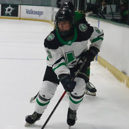 Dallas Stars Elite Girls Hockey | U16 TIER 2 Roster | DSE Girls Hockey ...