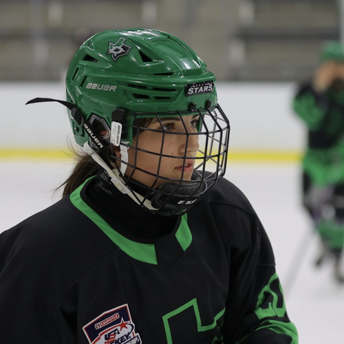 Dallas Stars Elite Girls Hockey | 16U TIER 1 Roster | Dallas Stars ...