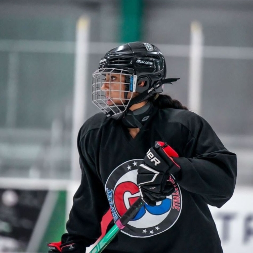 Dallas Stars Elite Girls Hockey | U16 TIER 2 Roster | DSE Girls Hockey ...