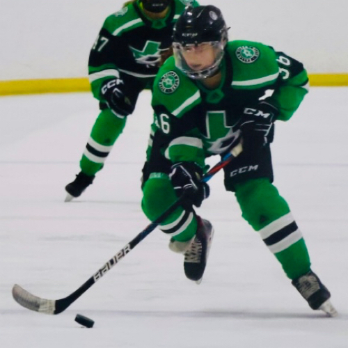 Dallas Stars Elite Girls Hockey | U16 TIER 2 Roster | DSE Girls Hockey ...