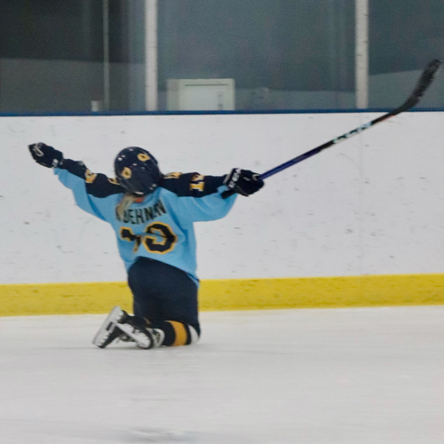 Wayzata Youth Hockey Association | Girls 12U B2 Royal Roster | Player ...