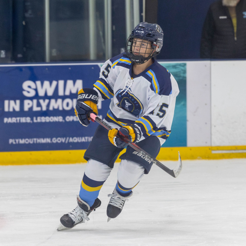 Wayzata Youth Hockey Association | Bantam B2 Yellow Roster | Player ...