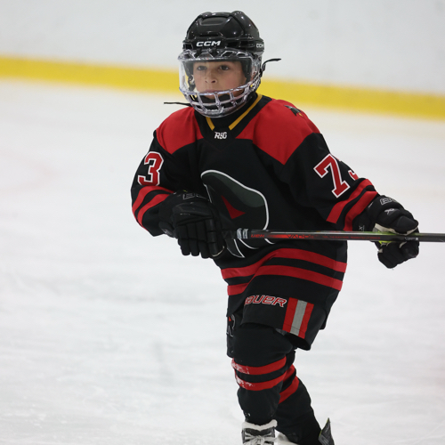 Rockets Hockey Club | Squirt Major AA Roster | Tier 2 | RHC Tier 2 2025 ...