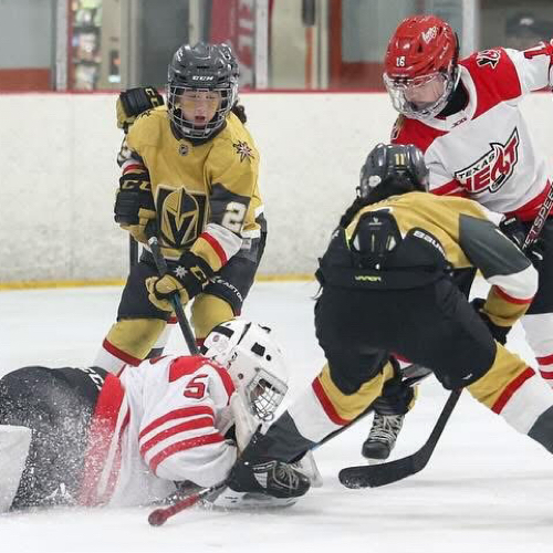 Dallas Stars Elite Girls Hockey | 13O Roster | Dallas Stars Elite Girls ...