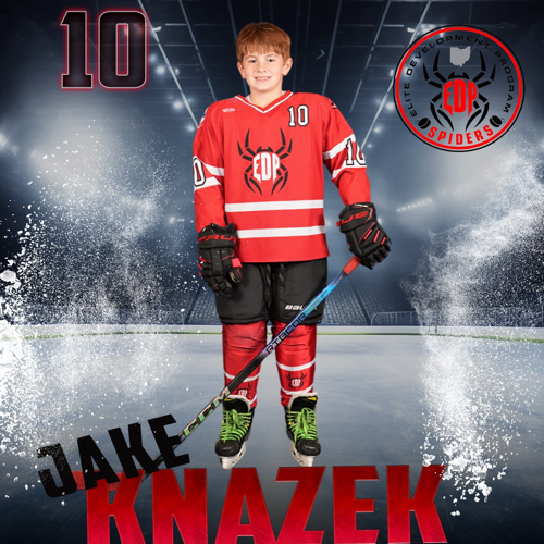 Elite Development Hockey | U12 Elite Roster | EDP Hockey Academy | 2024 ...