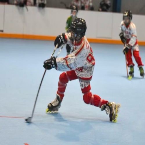 Madison Capitols AAA Hockey | Spring 12U Roster | AAA Spring Season | 2025