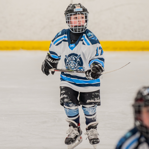 Madison Capitols AAA Hockey | Spring 8U Roster | AAA Spring Season | 2025