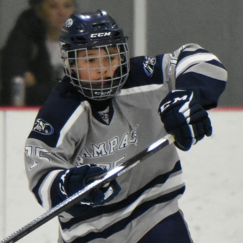 Colorado Rampage | 14UAA Roster | Travel - Registration | Travel ...