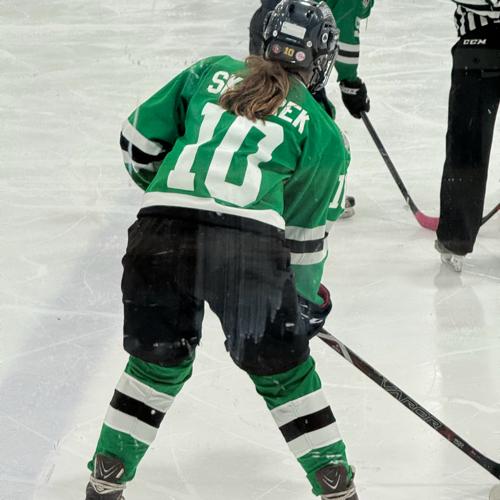 St. Jude Hockey Club | 14U Girls Stanislavski Roster | Girls Programs ...