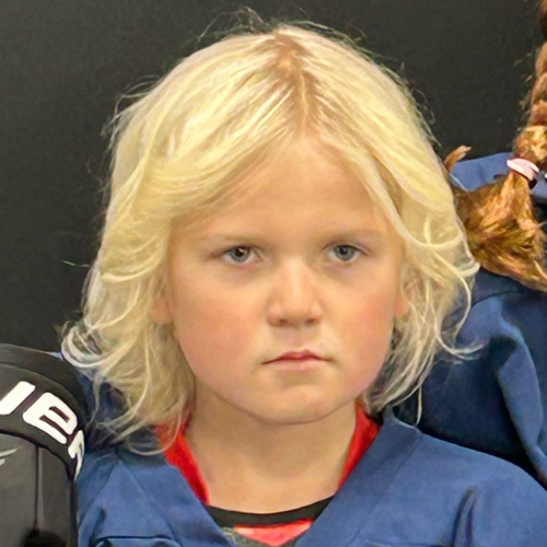 St. Michael - Albertville Youth Hockey | 8U Gold Frost Roster | MITE ...