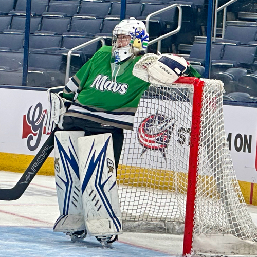 Dublin Jerome Hockey | 14U Celts Gold Roster | Pond Hockey | Pond ...