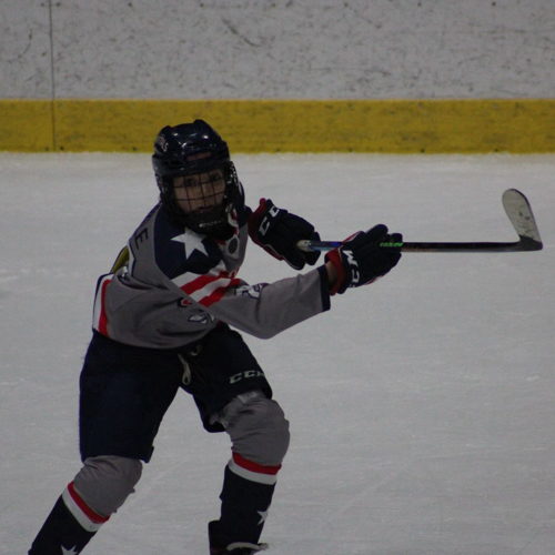 Capital Amateur Hockey Association | 2011 WHITE Roster | Travel and ...