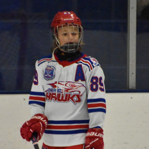 Chicago Hawks Hockey Club | BTM 14U - CSDHL Minor Roster | Chicago ...