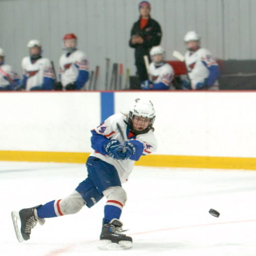 Wisconsin Elite Hockey League | 14U Girls South East Roster | Girls 14U ...