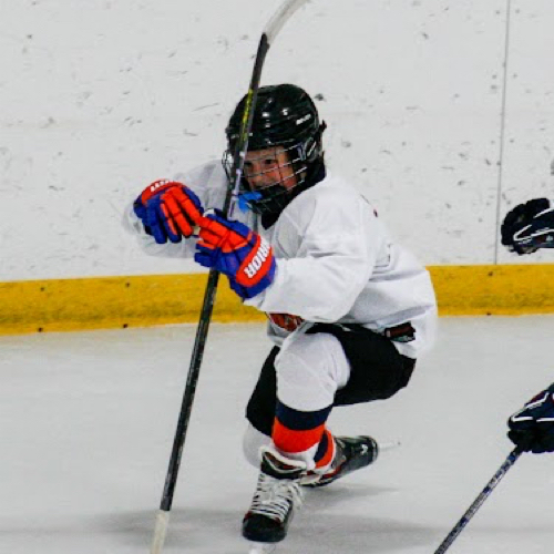 Carshield AAA Hockey | Carshield Spring Goalies Roster | SPRING PROGRAM ...