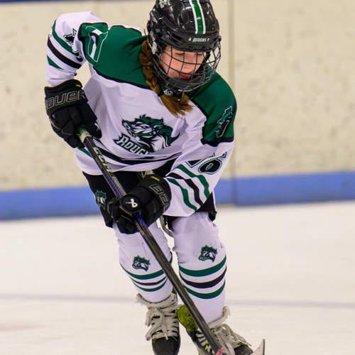 Colorado 14ers Hockey | 12UAA Tournament Team Roster | 10U & 12U ...