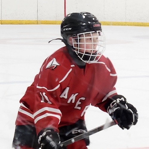 Detroit Lakes Youth Hockey | Bantam A Roster | Player Registration ...