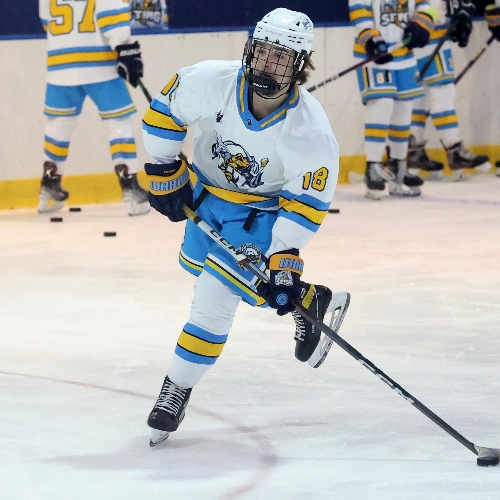 St. Louis Sting Hockey | 16U Prospects Roster | Central States | 2023-2024