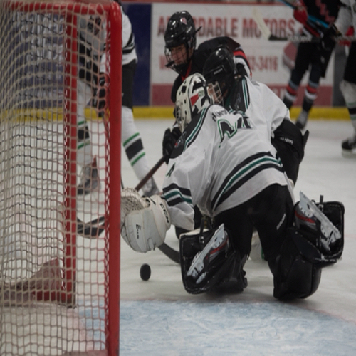 Fargo Angels Hockey | Bantam AA Roster | Travel Hockey - Registration ...