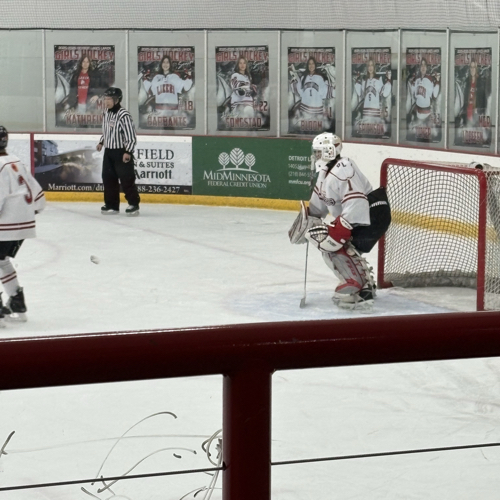 Detroit Lakes Youth Hockey | Bantam Roster | Player Registration ...