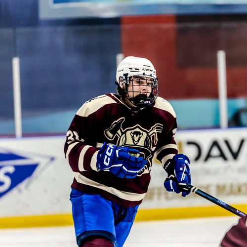 Wisconsin Elite Hockey League | SouthEast Boys 18U Roster | Boys 18U ...