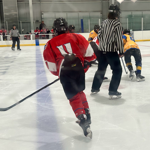 Detroit Lakes Youth Hockey | Bantam Roster | Player Registration ...