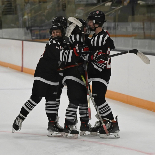 Fargo Angels Hockey | PeeWee A Roster | Travel Hockey - Registration ...