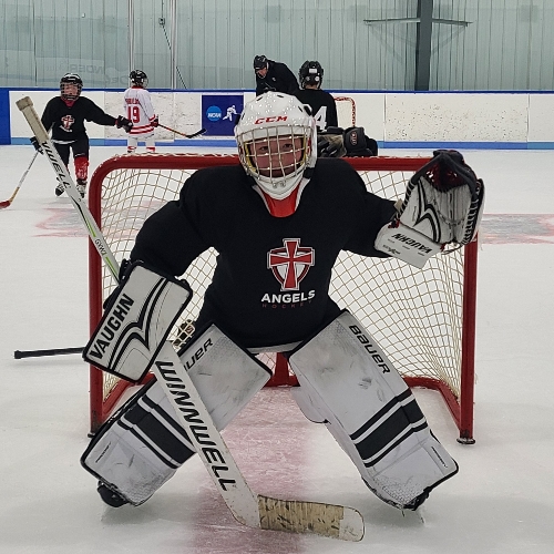 Fargo Angels Hockey | Valley City Jamboree Mites Roster | Mites ...