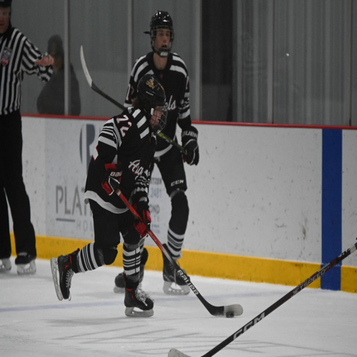 Fargo Angels Hockey | Peewee A Roster | Travel Hockey - Registration ...