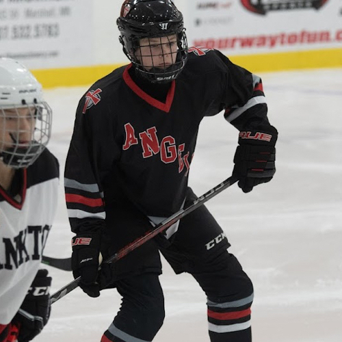 Fargo Angels Hockey | Bantam A Roster | Travel Hockey - Registration ...
