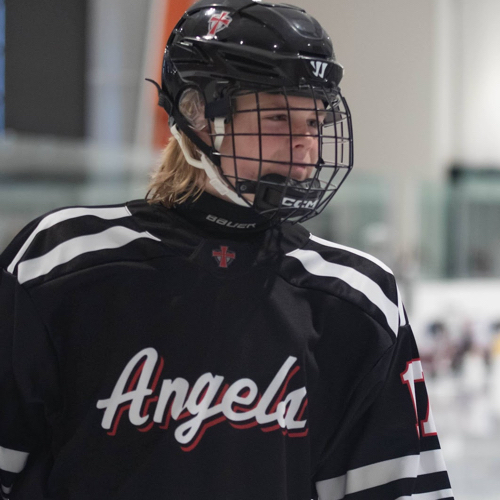 Fargo Angels Hockey | Bantam AA Roster | Travel Hockey - Registration ...