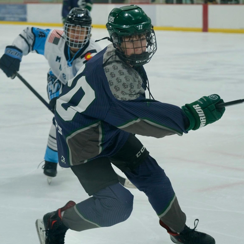 Standley Lake Gators Hockey | CPHL Junior Varsity Roster | CPHL Season ...