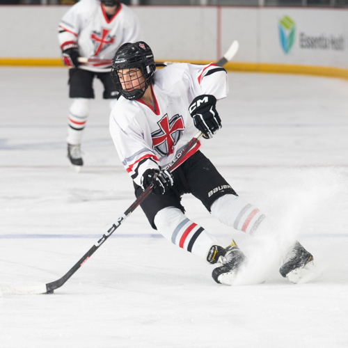 Fargo Angels Hockey | Bantam AA Roster | Travel Hockey - Registration ...