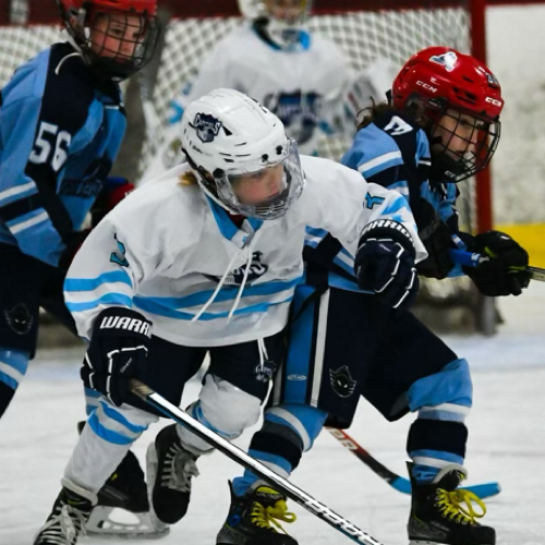 Madison Capitols AAA Hockey | Spring 9U Roster | AAA Spring Season | 2025