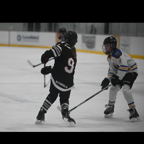 Fargo Angels Hockey | PeeWee B Roster | Travel Hockey - Registration ...
