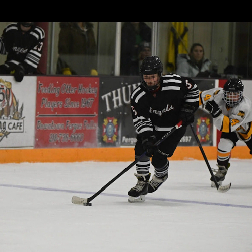 Fargo Angels Hockey | PeeWee A Roster | Travel Hockey - Registration ...