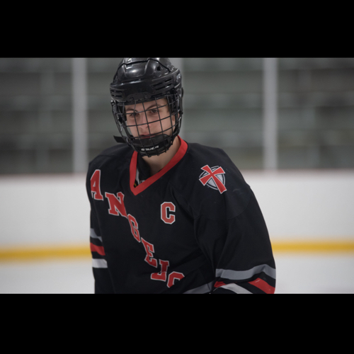 Fargo Angels Hockey | Bantam A Roster | Travel Hockey - Registration ...