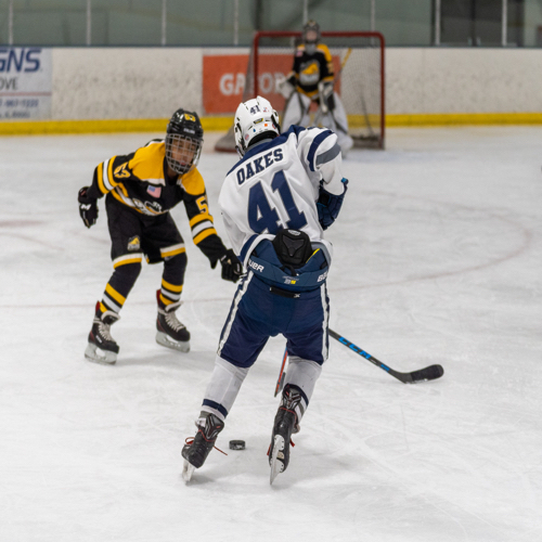 Wilmette Jr. Trevians Hockey | Squirt 2 Roster | Youth Travel (Squirt ...