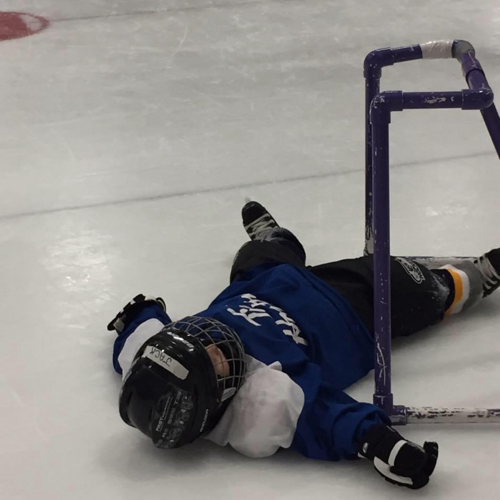 Wausau Youth Hockey | PeeWee B Roster | 10U - 14U Squirt/PeeWee/Bantam ...