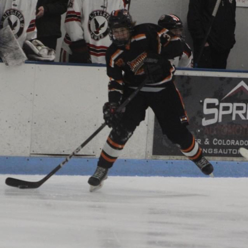 Hyland Hills Jaguars | 16U AA Roster | Competitive Hockey | 2023-24 ...