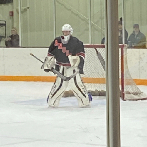 Fargo Angels Hockey | Bantam A Roster | Travel Hockey - Registration ...