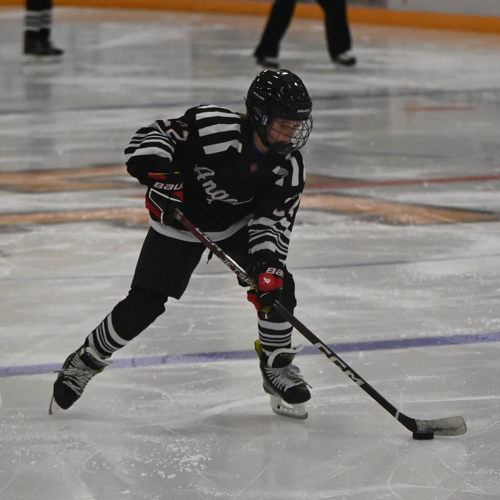 Fargo Angels Hockey | Bantam B Roster | Travel Hockey - Registration ...