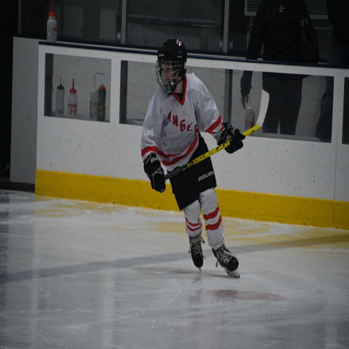 Fargo Angels Hockey | PeeWee A Roster | Travel Hockey - Registration ...