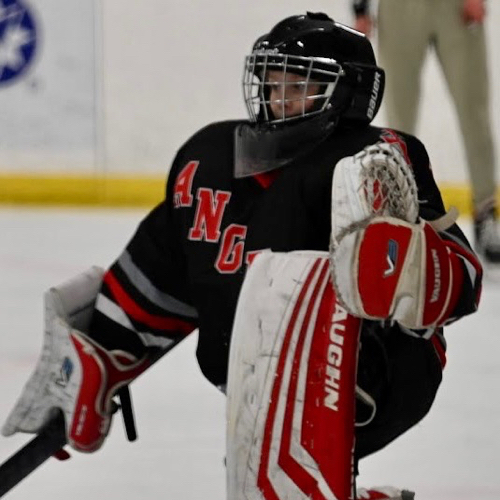 Fargo Angels Hockey | Bantam B Roster | Travel Hockey - Registration ...