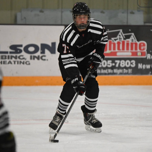 Fargo Angels Hockey | PeeWee A Roster | Travel Hockey - Registration ...