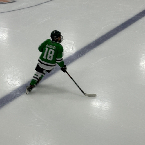 Madison Capitols AAA Hockey | Spring Boys 15O Roster | AAA Spring ...