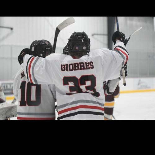 Fargo Angels Hockey | Bantam B Roster | Travel Hockey - Registration ...