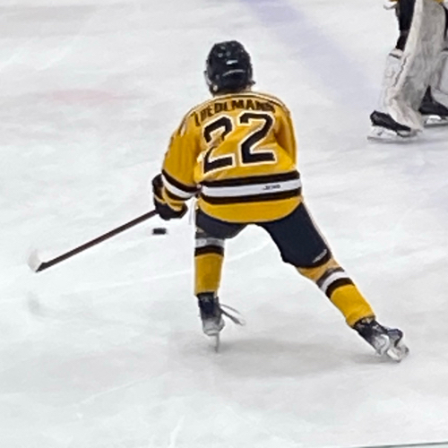 St. Michael - Albertville Youth Hockey | JG 18U Roster | JUNIOR GOLD ...