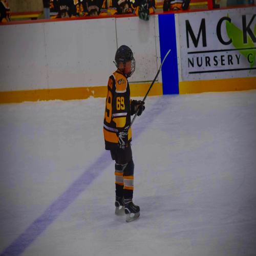 Wildcat Youth Hockey Association | Bantam C Roster | Youth Hockey ...